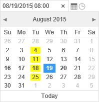 DateTimePicker component - Hyper Library - DlhSoft